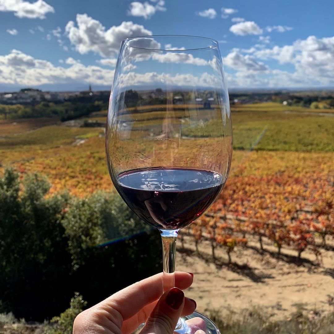 Know & Savour Tempranillo With Its Greatest Styles - Wine Park